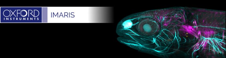 顕微鏡画像解析用ソフトウェア「IMARIS」用ワークステーション | 研究用・産業用PCの製作・販売 - テグシス